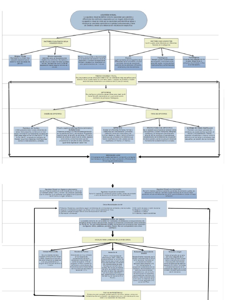 Mapa Conceptual Agudeza Visual | PDF