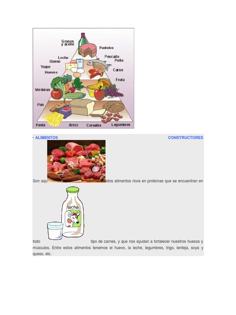 Alimentos Constructores | PDF | Vitamina | Alimentos