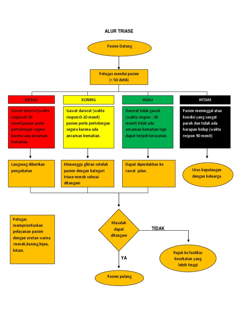 Alur Triase | PDF