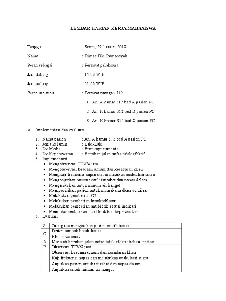 LKH Perawat Pelaksana | PDF | Sains & Matematika