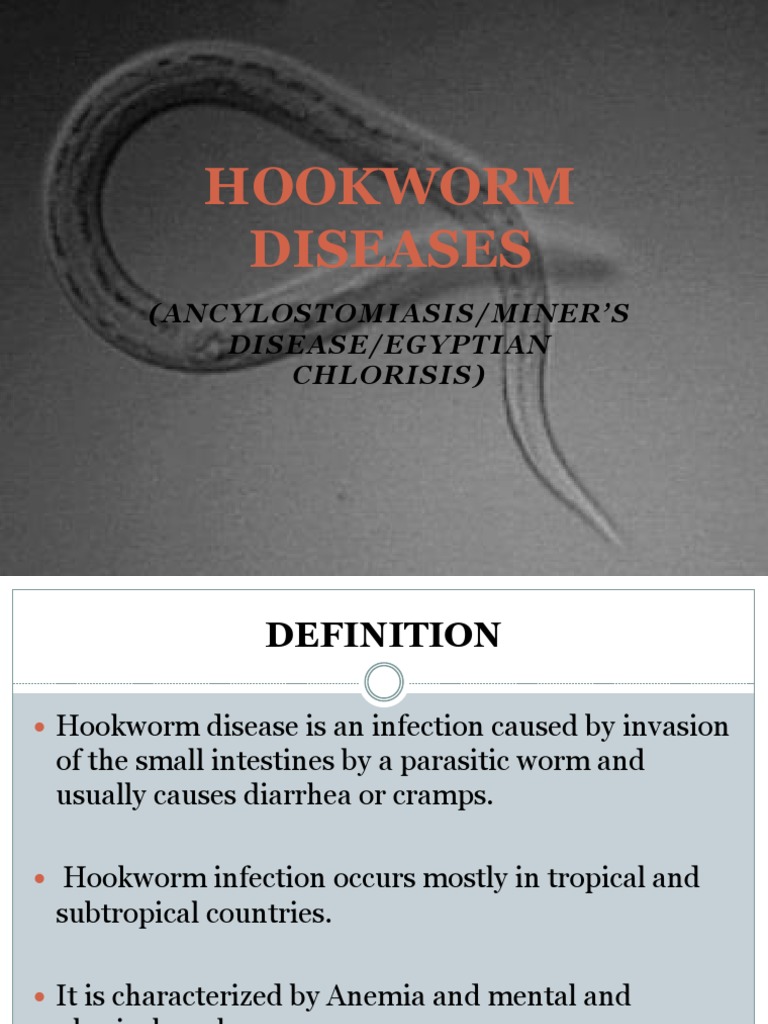 Hookworm Diseases: (Ancylostomiasis /Miner'S Disease/Egyptian Chlorisis) | Download Free PDF ...