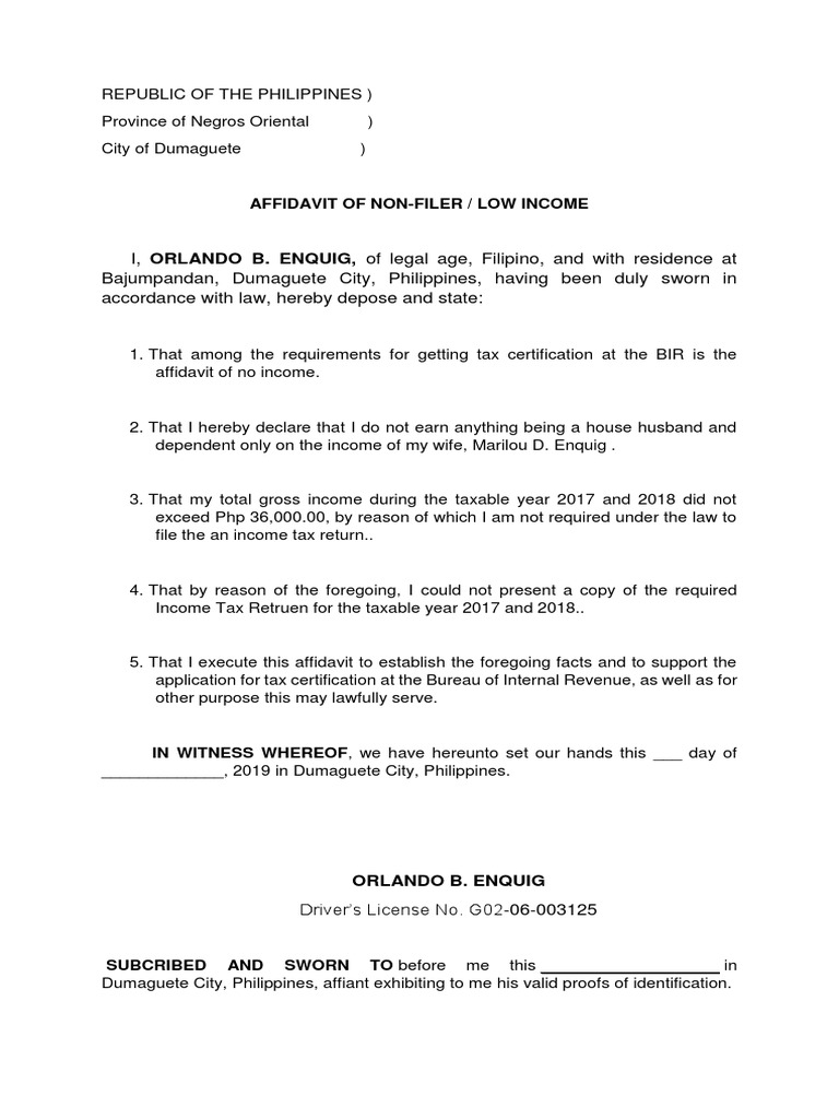 Affidavit of No Income | PDF