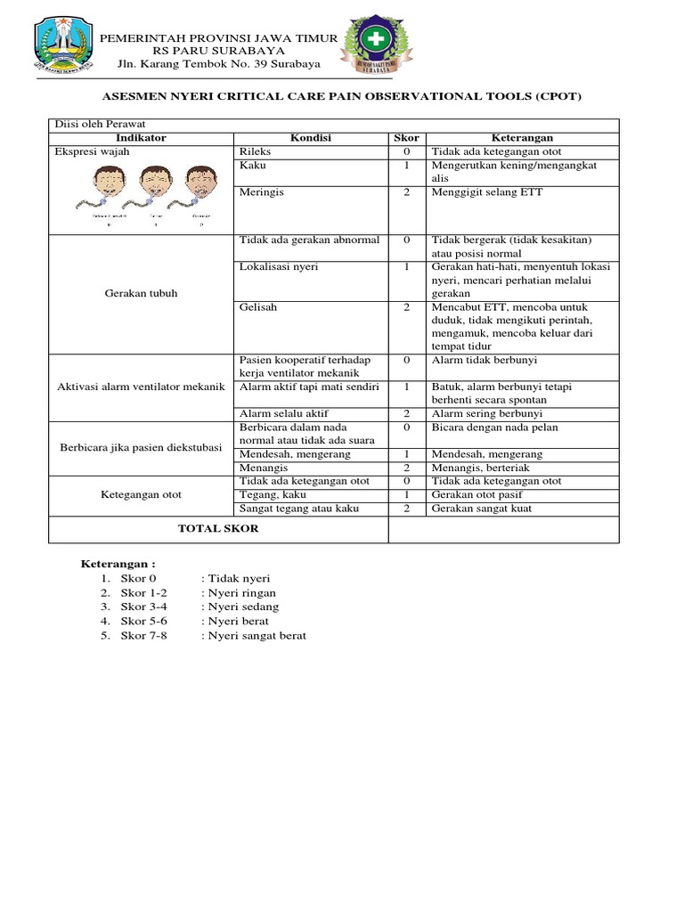 BRM Lembar Asesment Nyeri Cpot | PDF