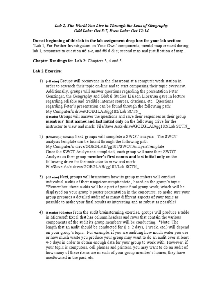 Geography Lab 2: SWOT & Audit Analysis | PDF | Computer File ...