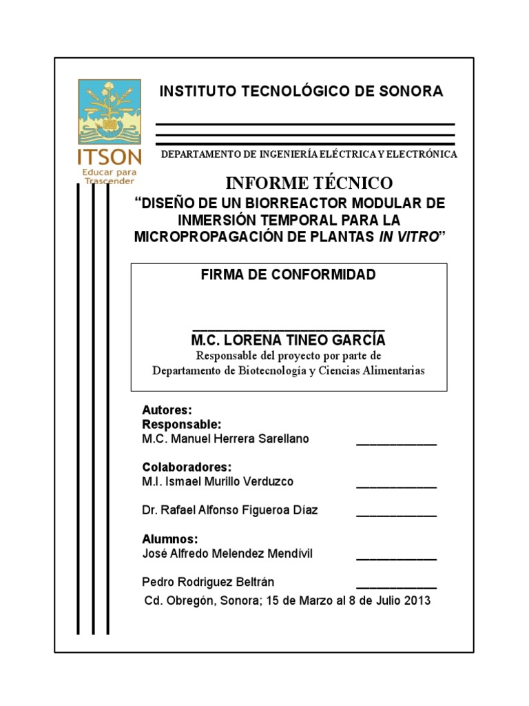 Informe Técnico BIOMINT | PDF | Informática