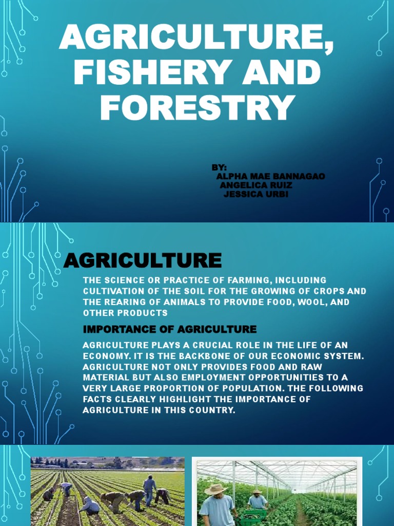 Agriculture, Fishery, and Forestry Overview | PDF | Trawling | Forestry