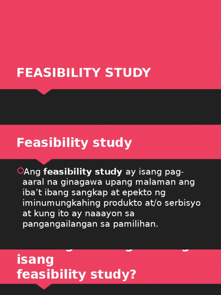 Feasibility Study | PDF