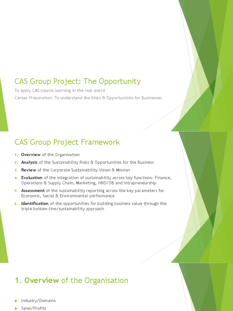CAS Group Project: The Opportunity | PDF | Corporate Social ...