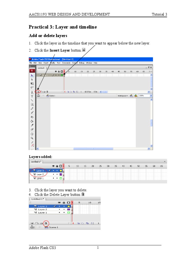 Flash CS3 Layer and Timeline Guide | PDF | Adobe Flash | Icon (Computing)