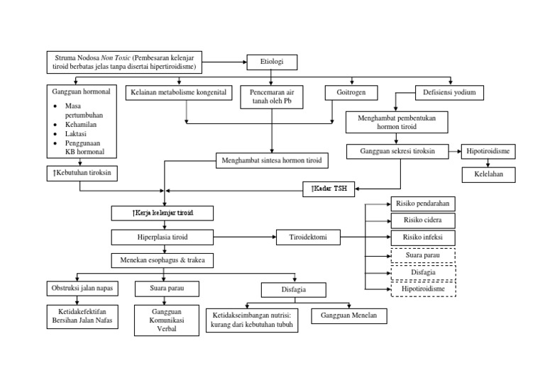 Pathway Struma | PDF