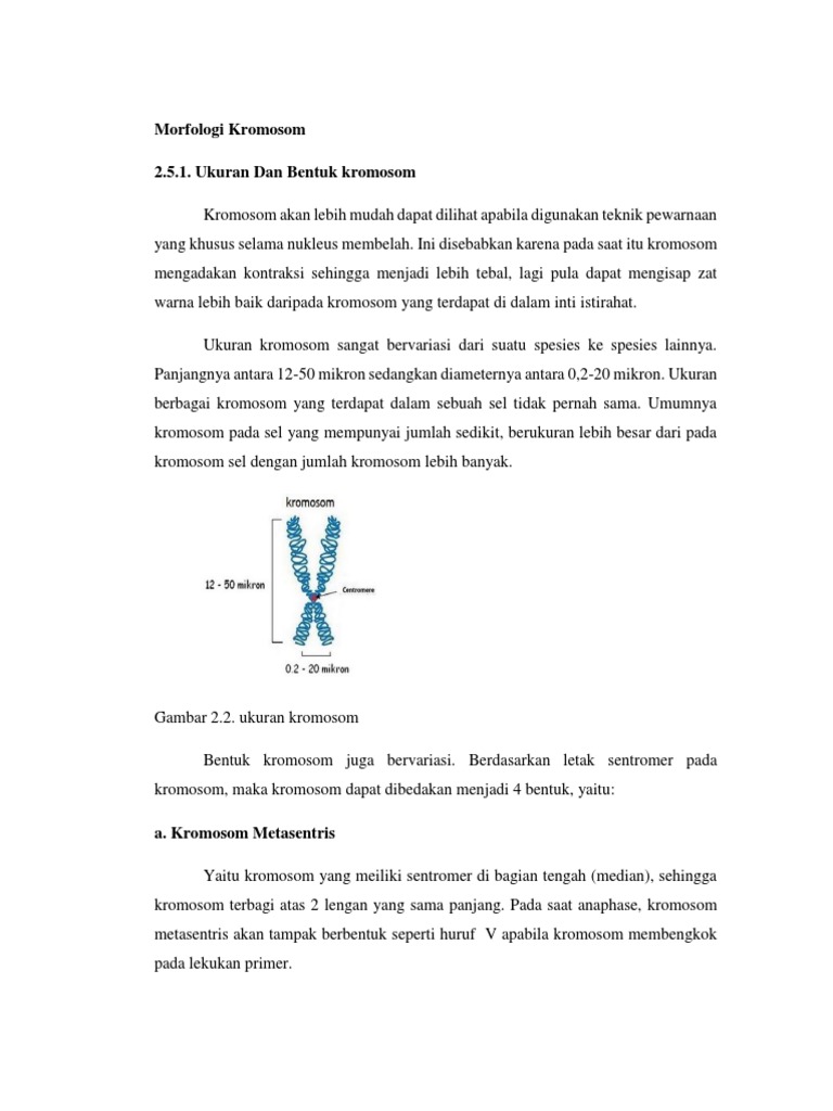 Morfologi dan Tipe Kromosom | PDF | Ilmu Sosial | Kajian Bahasa Asing