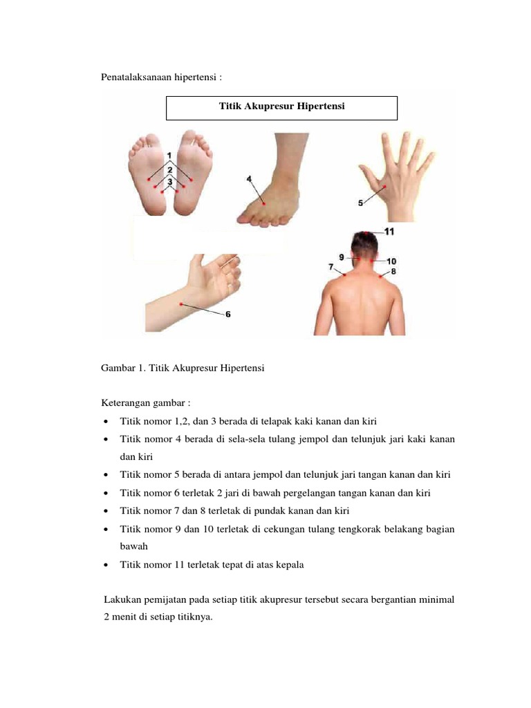 Titik Akupresur Hipertensi Pdf