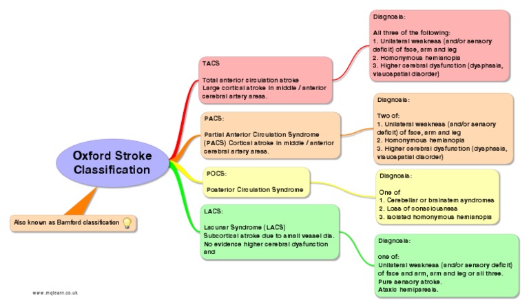 Oxford Stroke Classification: Also known as Bamford classification ...