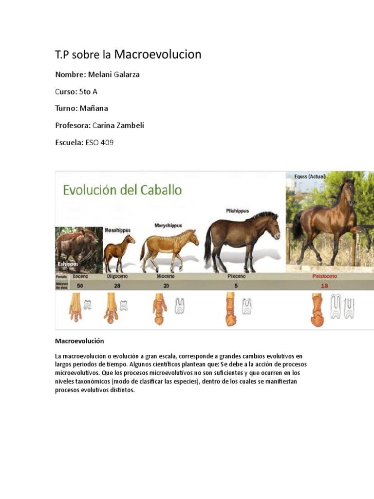 Macroevolucion: T.P Sobre La | PDF | Evolución | Seleccion natural