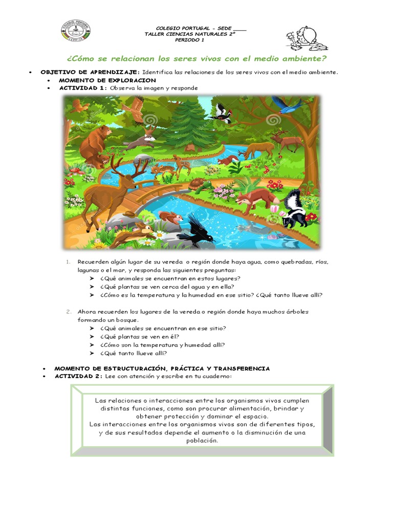 Relación de Los Seres Vivos Con El Ambiente Grado 2 | Aves | Columbidae