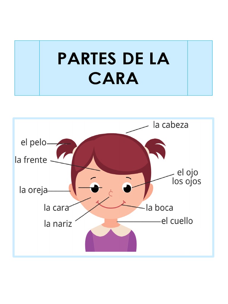 Partes de La Cara | PDF
