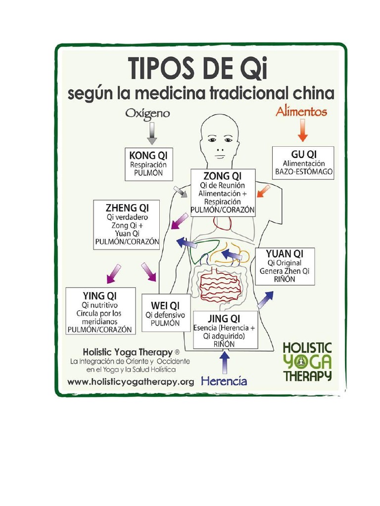 Tipos de Qi | PDF