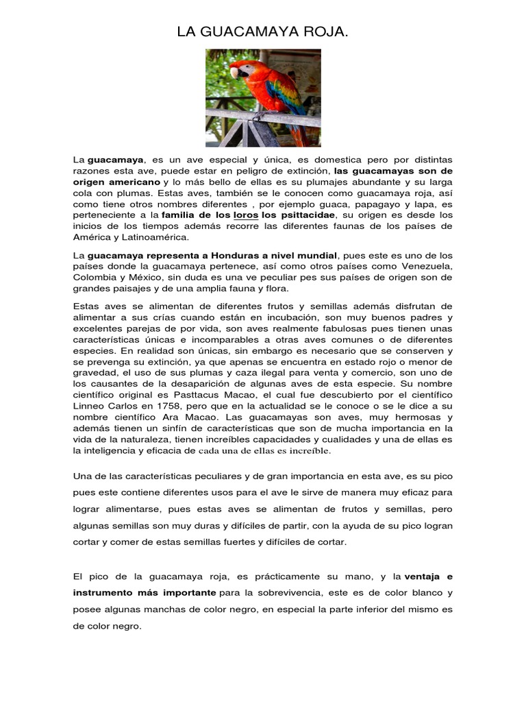 La Guacamaya | PDF | Aves | Paravianos