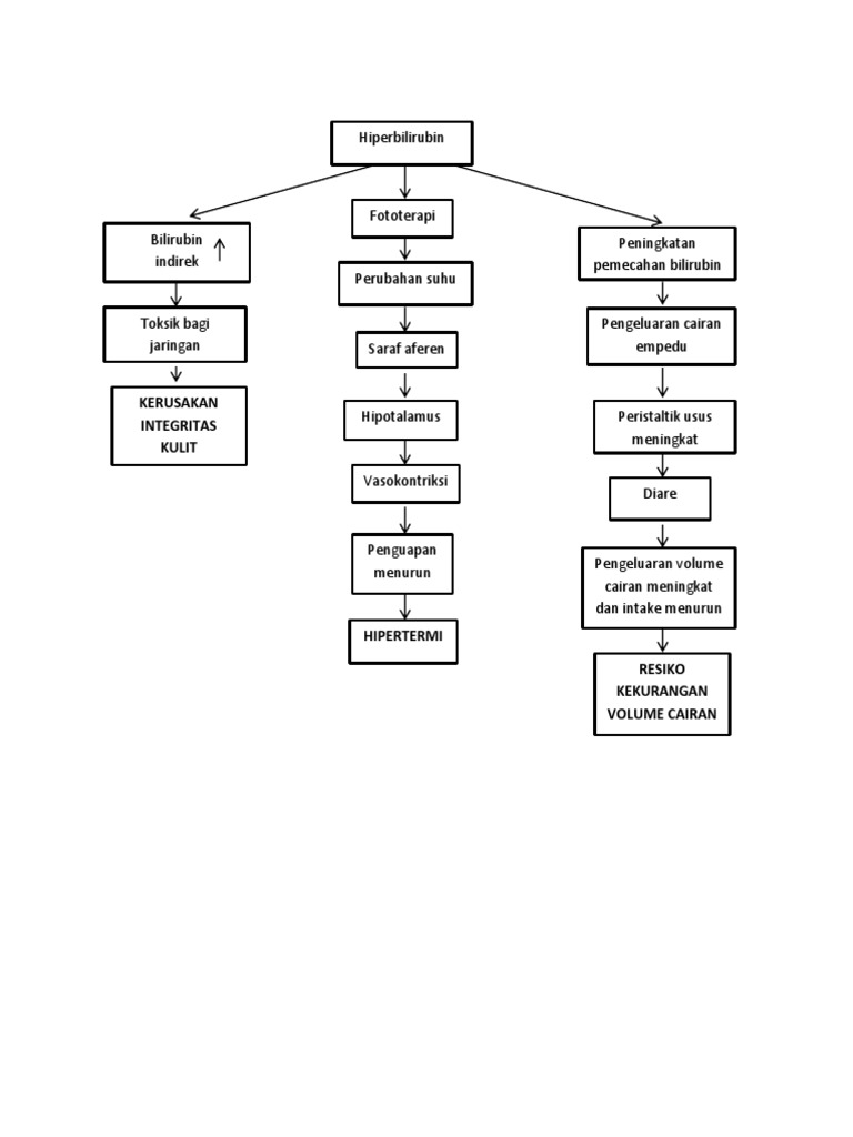 Pathway Hiperbilirubin | PDF