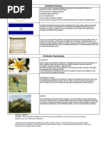 Asocie Simbolos Nacionalesde Costa Rica | PDF