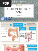 Flora Residente, Flora Transitoria, Transmisión Cruzada y Fómites | PDF ...