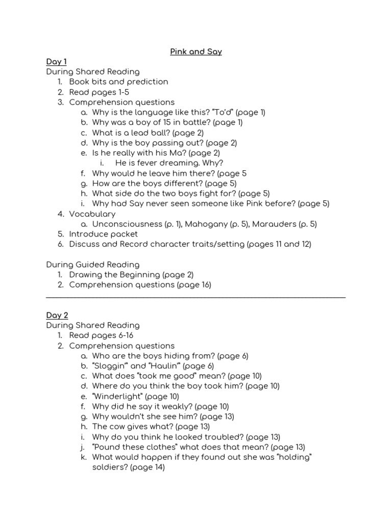 Pink and Say Plan | PDF