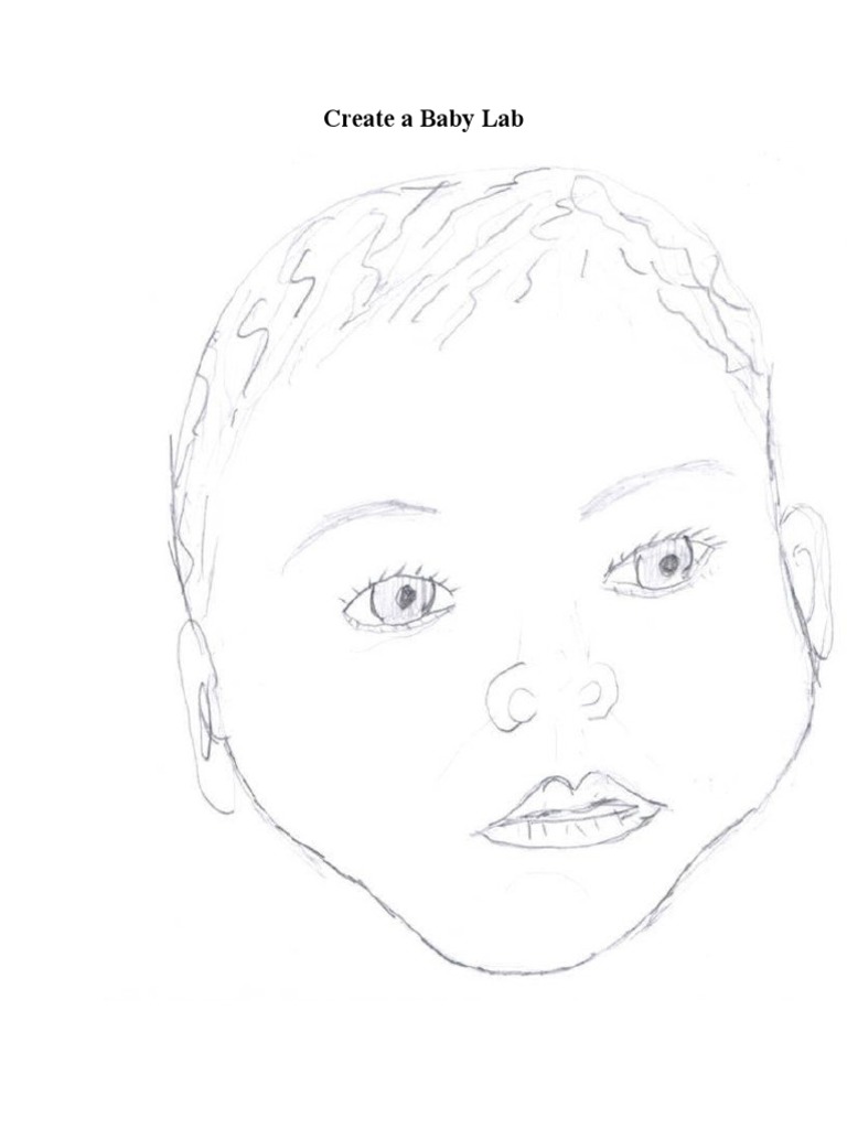 Create A Baby Lab | PDF | Dominance (Genetics) | Allele