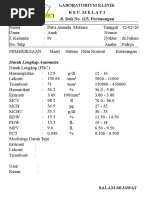 Nilai Laboratorium Normal Pada Anak Dan Dewasa | PDF | Pengembangan ...