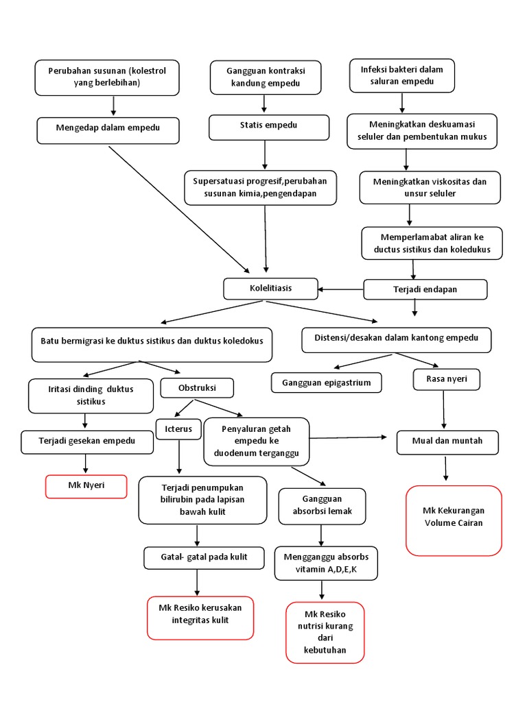 PATHWAY KOLELITIAsis | PDF