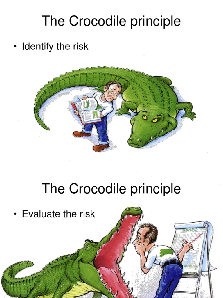 The Crocodile Principle | PDF