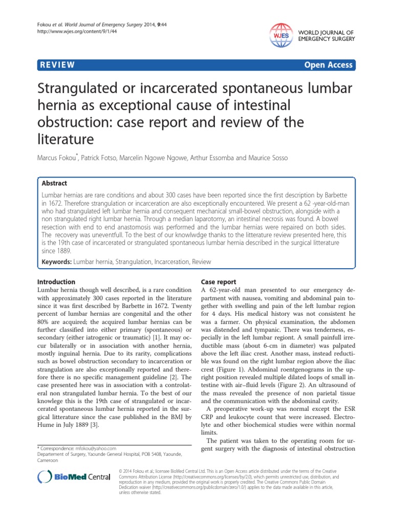 Strangulated or Incarcerated Spontaneous Lumbar Hernia As Exceptional ...