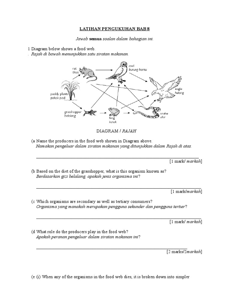 Bab 8 Biologi Tingkatan 4 | PDF