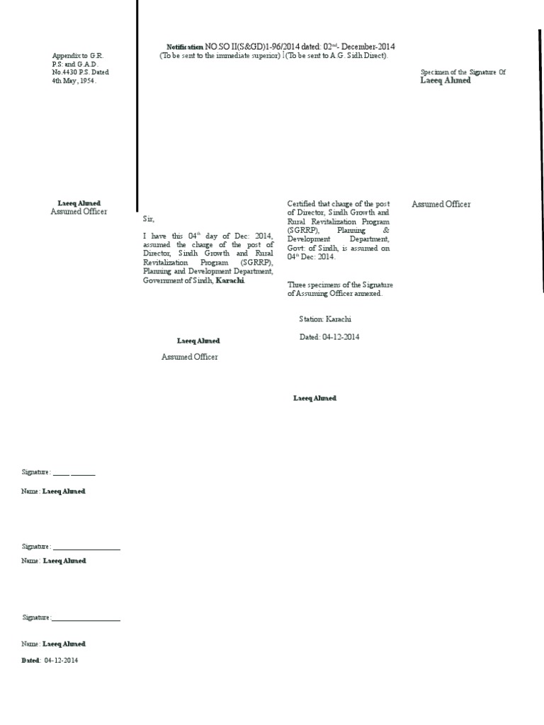 Charge Assumption Report Format | PDF