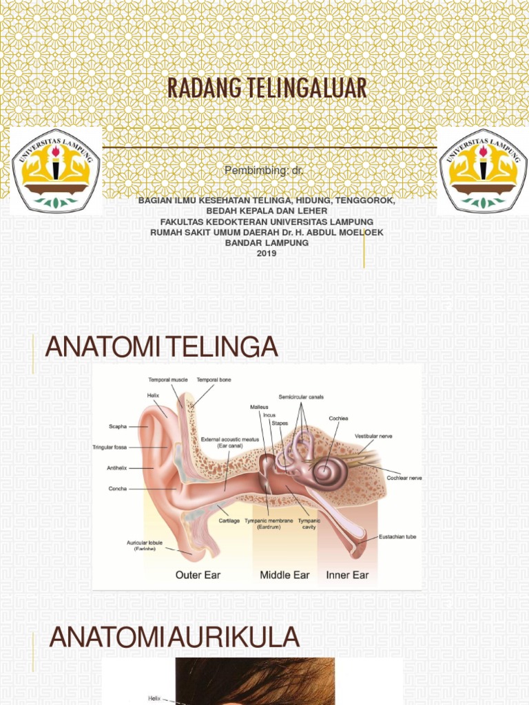 Radang Telinga Luar | PDF