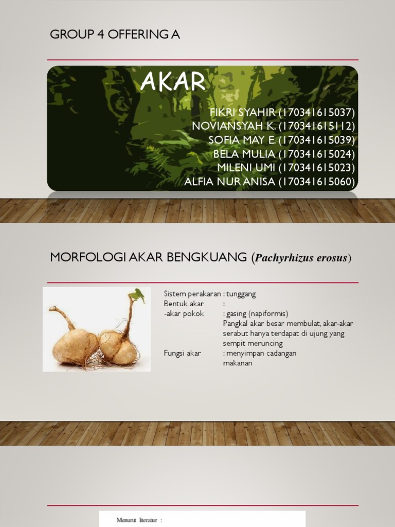 Akar Banir SPT | PDF