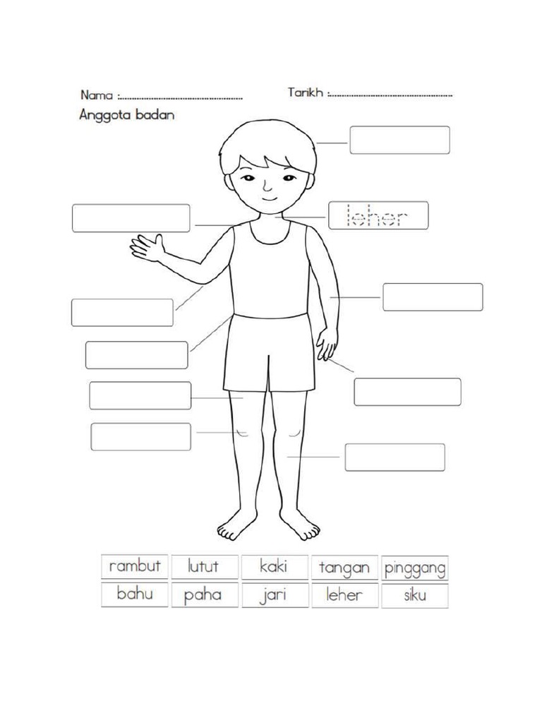 Label Anggota Badan | PDF