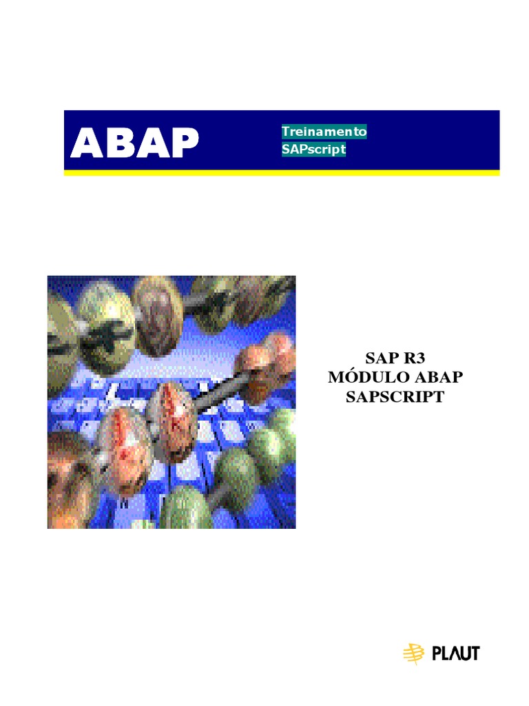 BC430 - SAPscript | PDF | Impressão | Linguagem de script