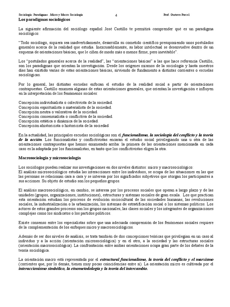 Macrosociología y Microsociología: Paradigmas | PDF | Sociología | Sociedad