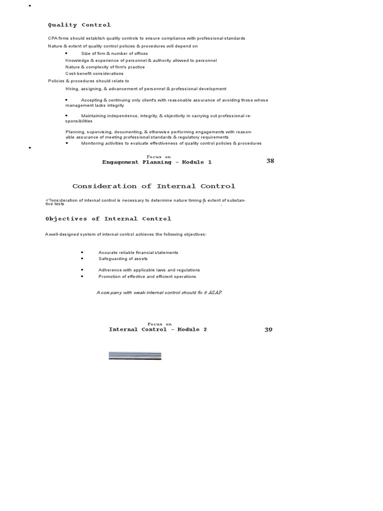 Consideration of Internal Control | PDF