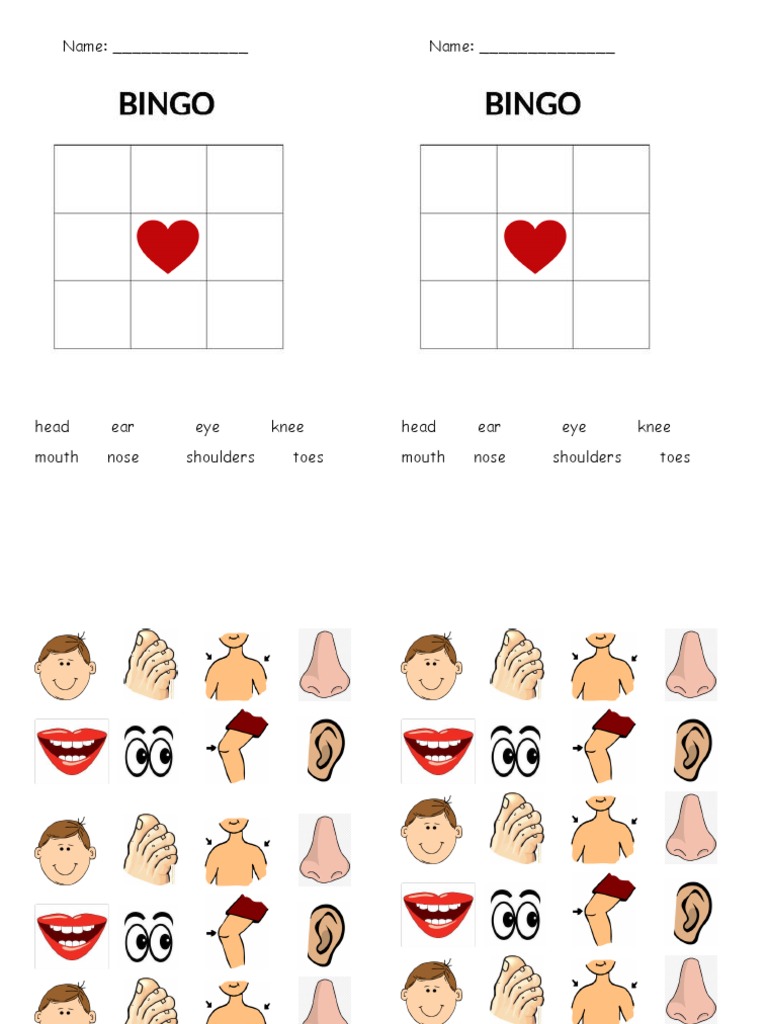 Bingo: Body Parts | PDF
