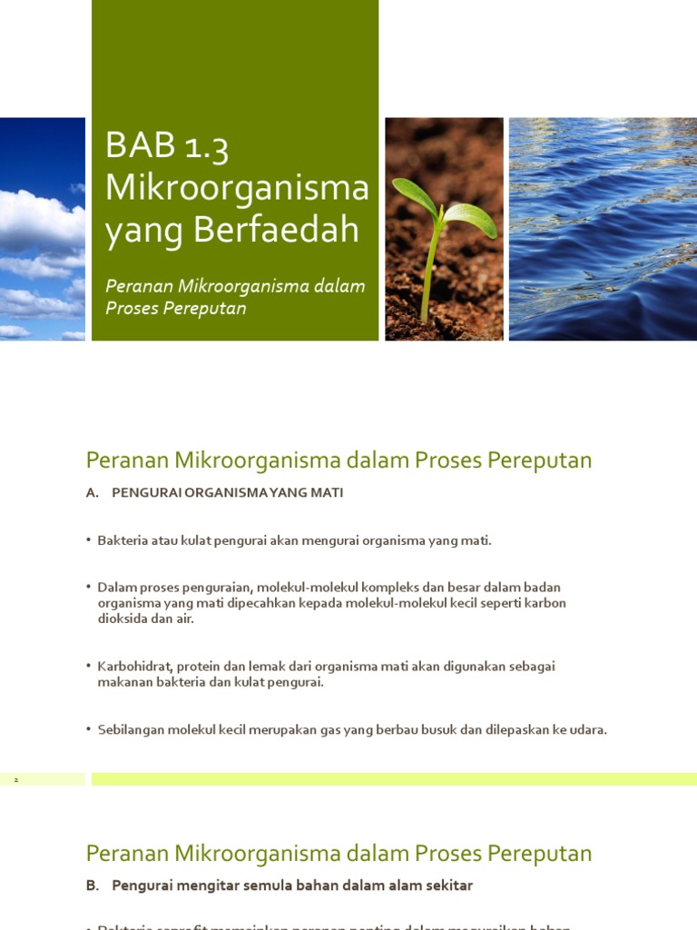 Peranan Mikroorganisma Dalam Proses Pereputan | PDF