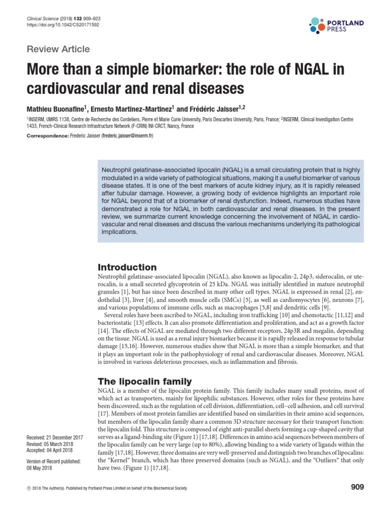 NGAL's Role in Cardiovascular and Renal Diseases | PDF | Macrophage ...