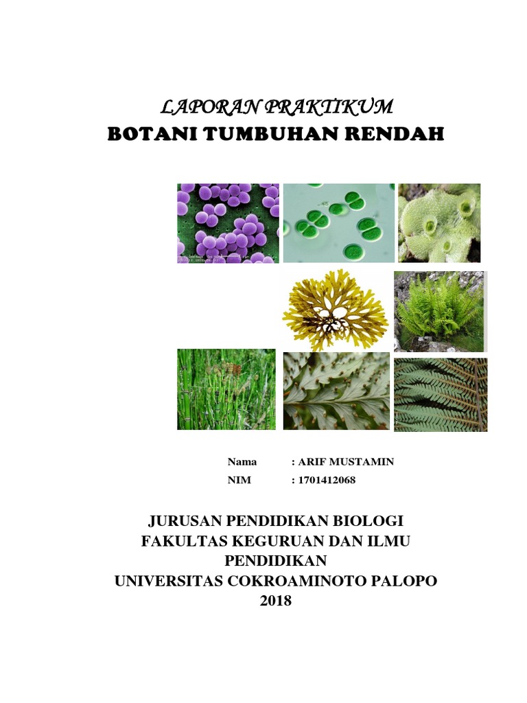 Laporan Praktikum | PDF | Griya & Taman | Sains & Matematika