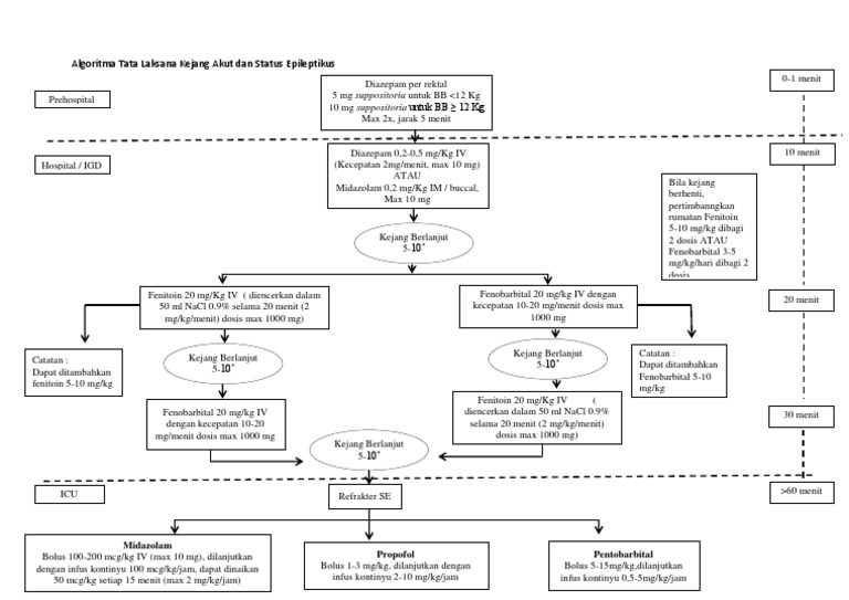 Algoritma Tata Laksana Kejang Akut Dan Status Epileptikus | PDF