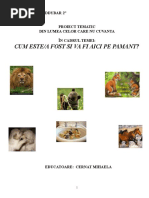 PROIECT DIDACTIC - 1 Decembrie | PDF