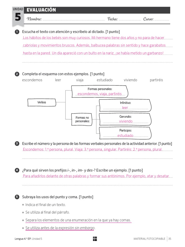 Lengua Tema 5 4primaria | PDF
