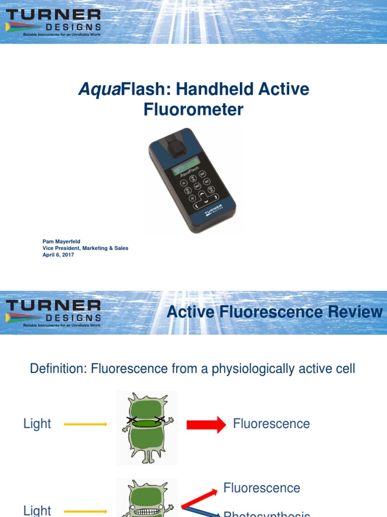 Aqua Flash | Download Free PDF | Fluorescence | Photosynthesis