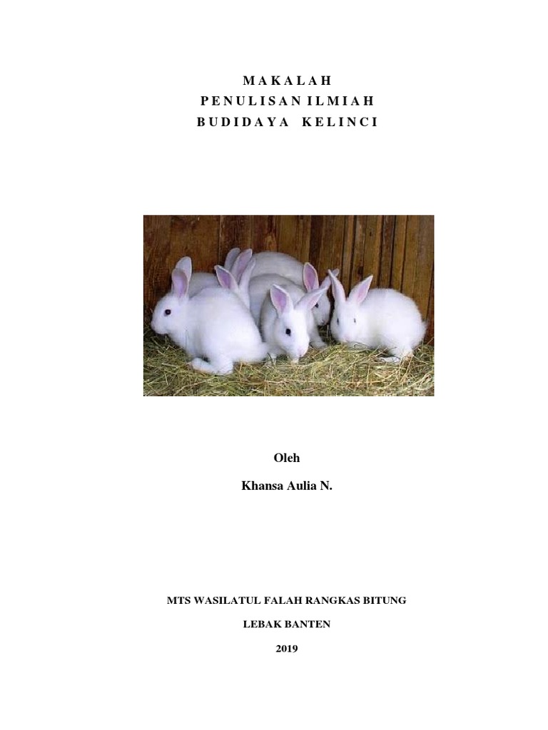 Makalah Budidaya Kelinci | PDF