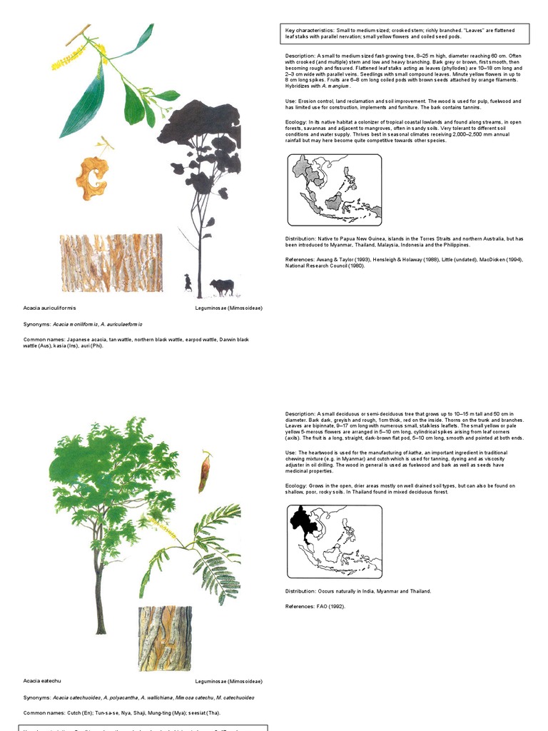 LA135 Southeast Asian Trees | Trees | Botany