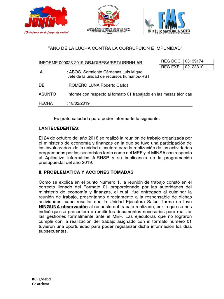 Informe Formato 01 | PDF